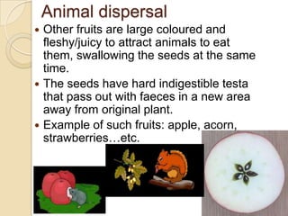 Reproduction in plants | PPTX