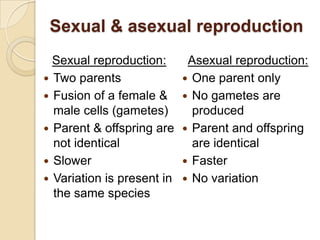 Reproduction in plants | PPTX