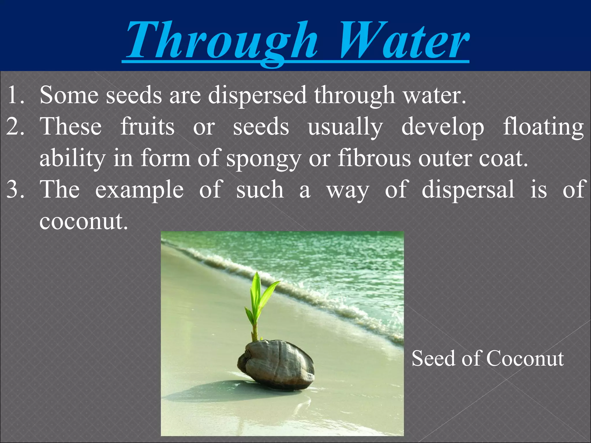 Reproduction in plants: A Short Description | PPT