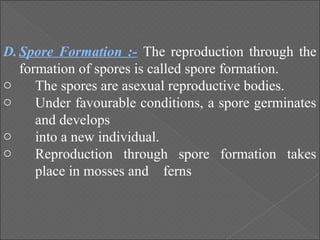 Reproduction in plants: A Short Description | PPT
