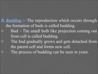 Reproduction in plants: A Short Description | PPT
