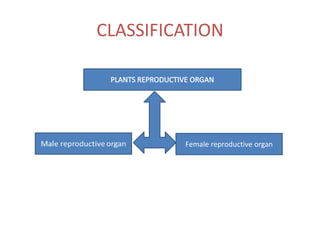 Reproduction in plants | PPTX | Gardening | Home & Garden