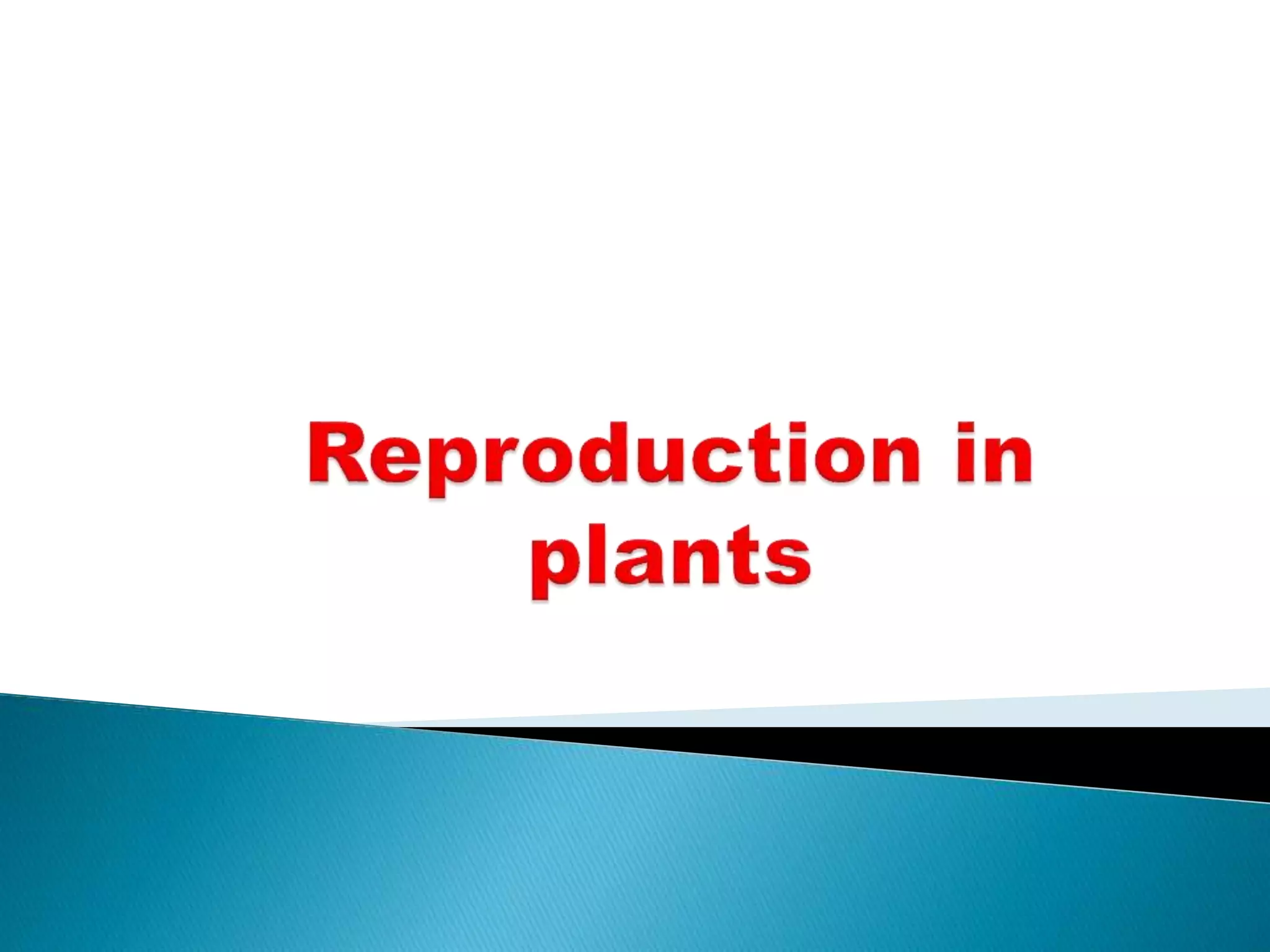 Reproduction in plants | PPTX