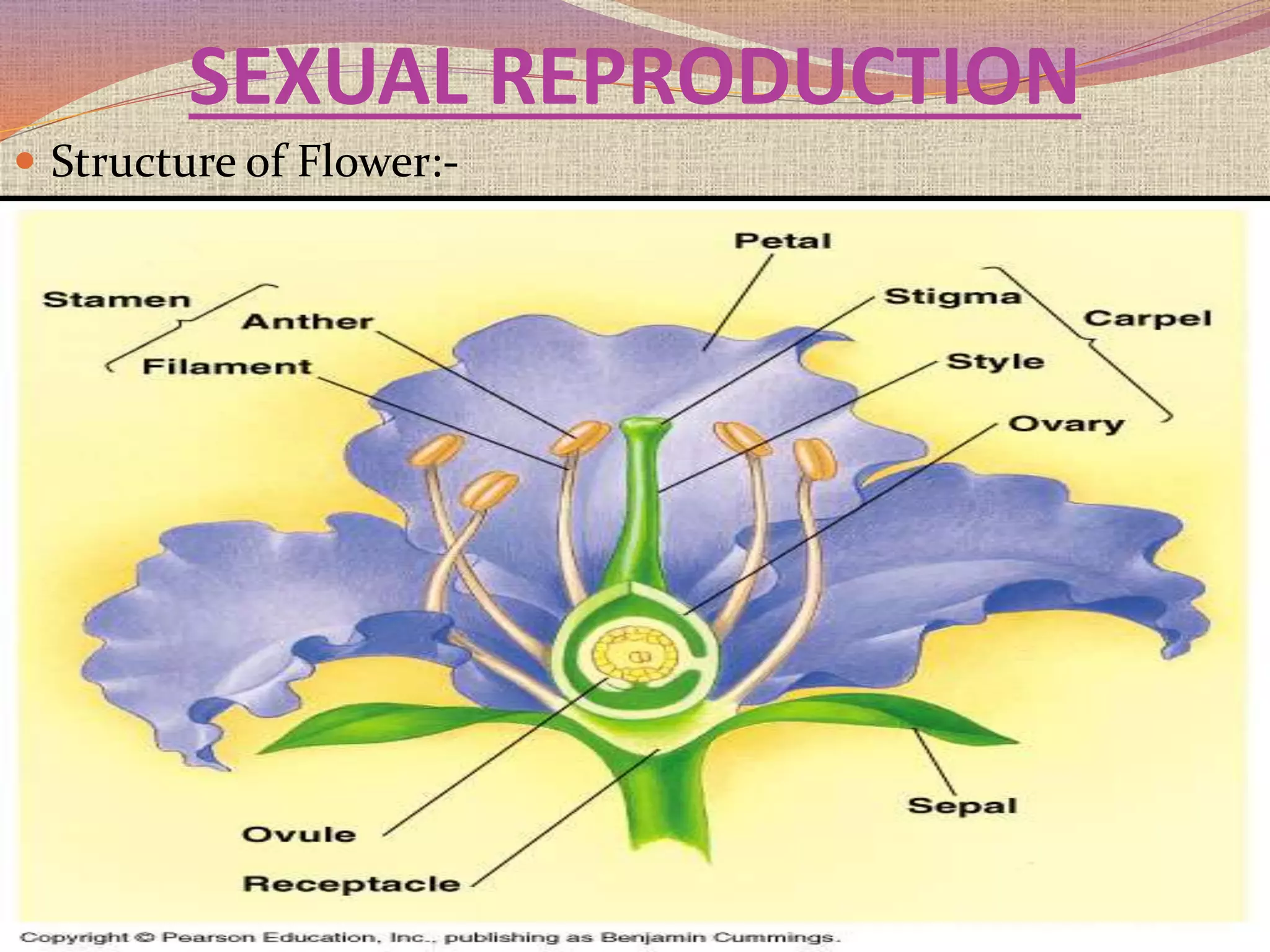 Reproduction in plants | PPTX