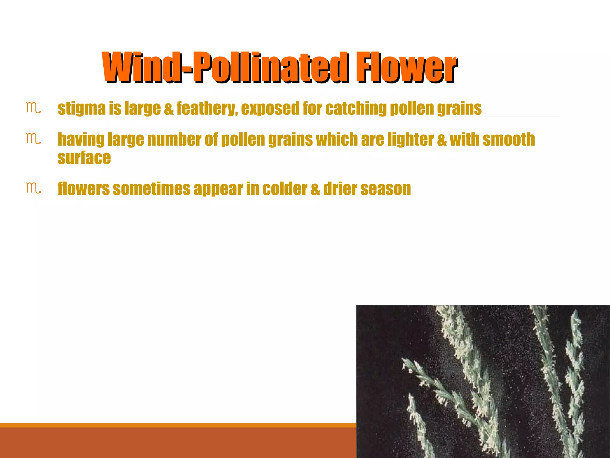 12. Reproduction in plants by Dilip Kumar Chandra | PPT