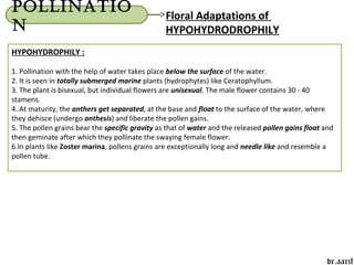 Reproduction in plants | PPT