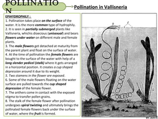 Reproduction in plants | PPT
