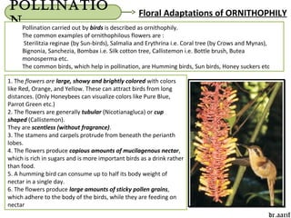Reproduction in plants | PPT
