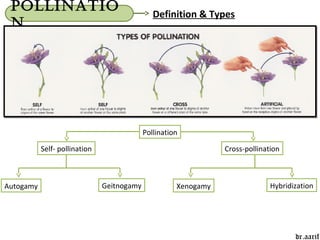 Reproduction in plants | PPT