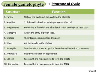 Reproduction in plants | PPT