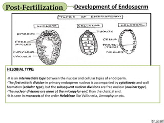 Reproduction in plants | PPT