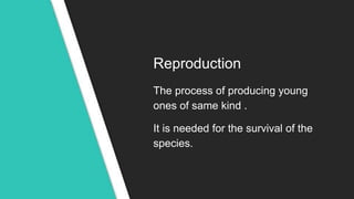 Reproduction in plants | PPTX