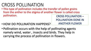 Reproduction in plants | PPTX