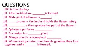 Reproduction in plants | PPTX