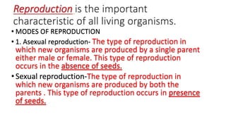 Reproduction in plants | PPTX