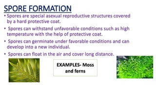 Reproduction in plants | PPTX