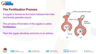 Reproduction in plants | PPTX