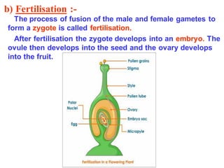 reproduction in plants..pdf