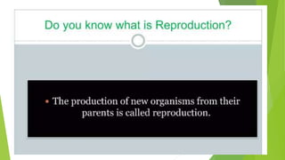 Reproduction in Plants.pptx