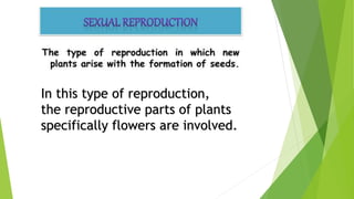 Reproduction in Plants.pptx