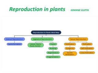 chapter= 12 Reproduction in plants .ppt