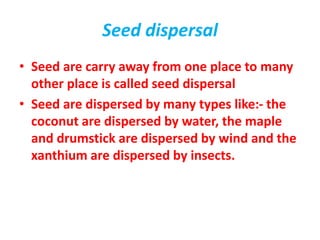 chapter= 12 Reproduction in plants .ppt