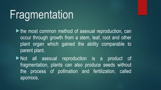 Reproduction in plants in shs less .pptx