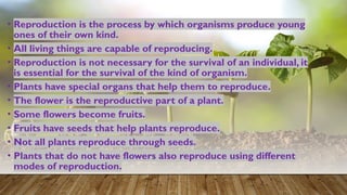 Reproduction in Plants asexual sexual.pptx