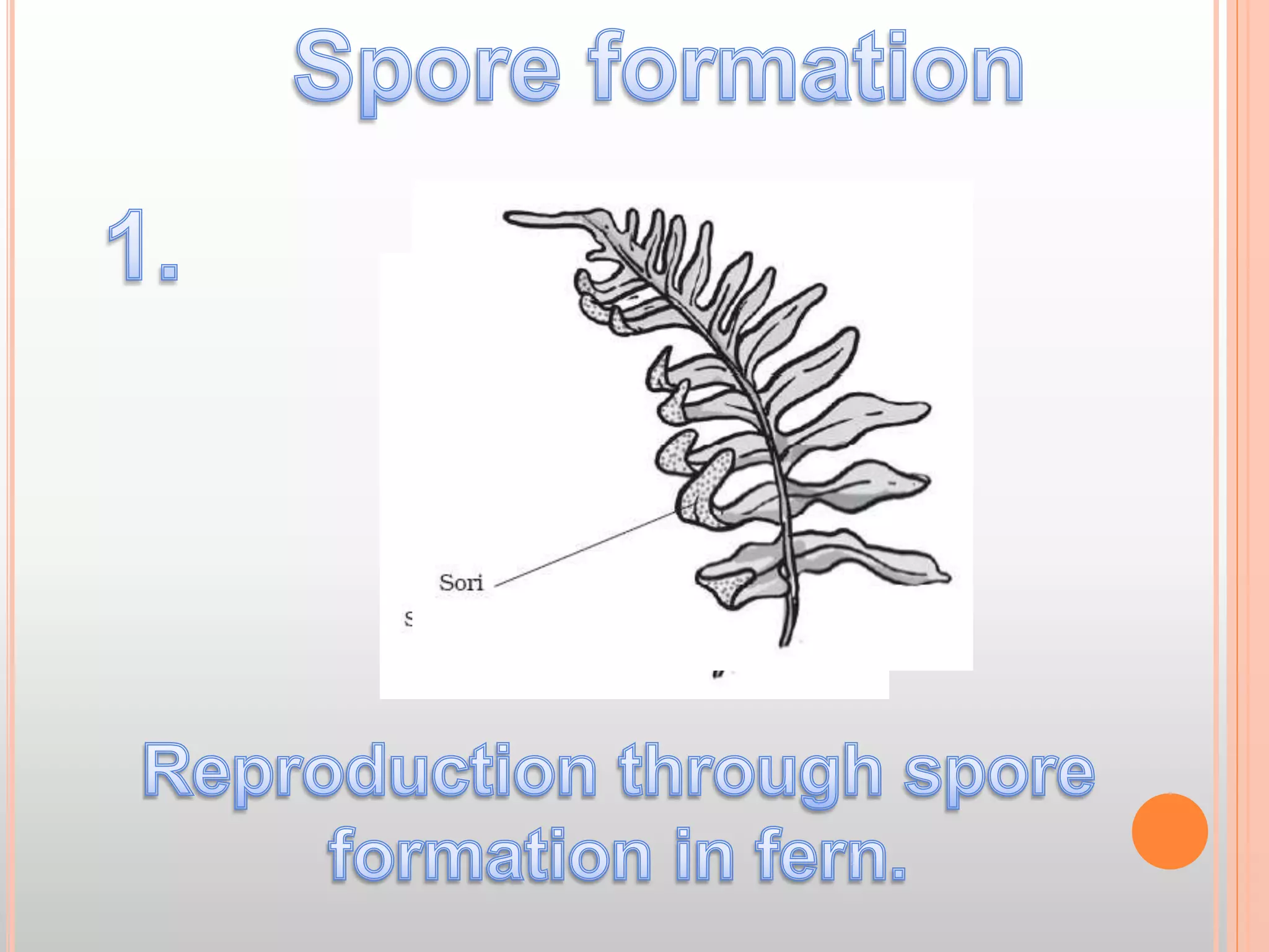 Reproduction in plants by Chavi Sharma | PPTX