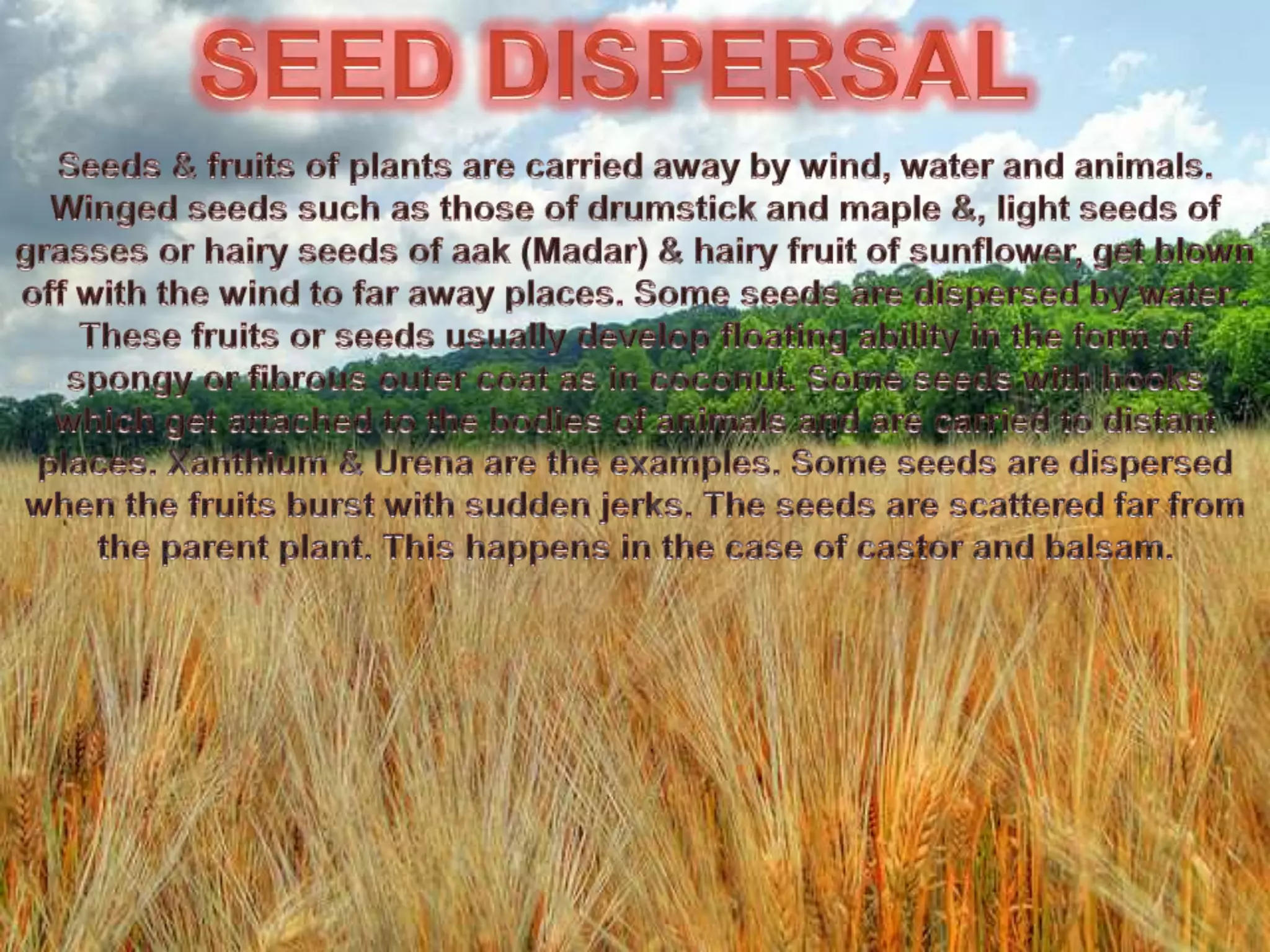 Reproduction in plants by Chavi Sharma | PPTX