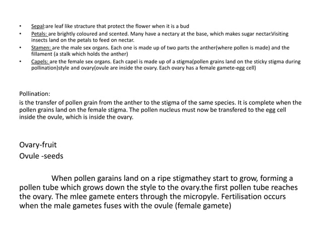 Reproduction In Plants Mili And Anto Ppt