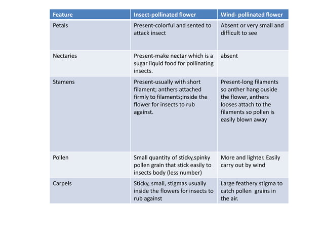 Reproduction In Plants Mili And Anto Ppt