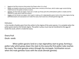 Reproduction in plants mili and anto | PPT