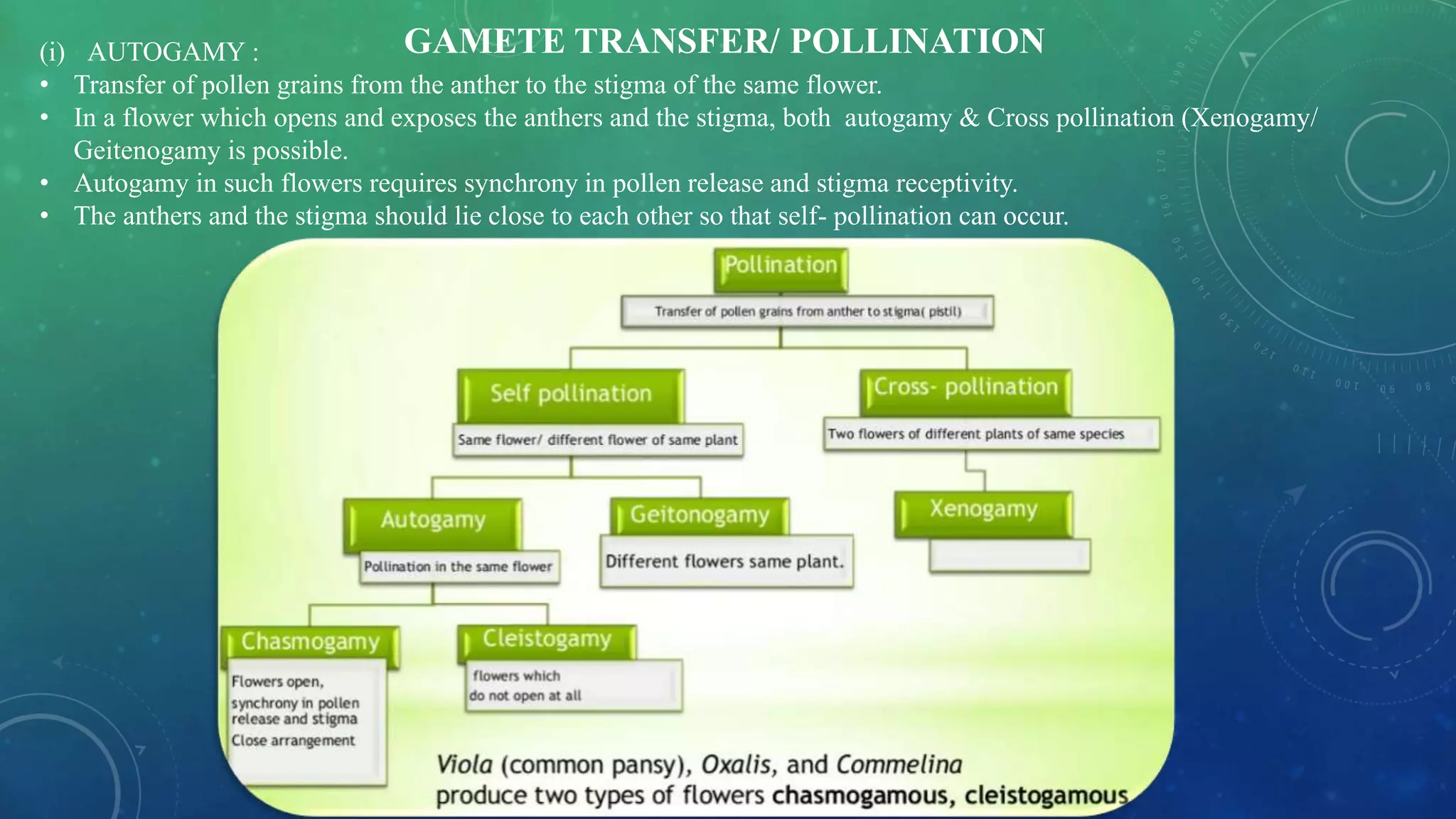 Reproduction in plants- CLASS XII | PPTX
