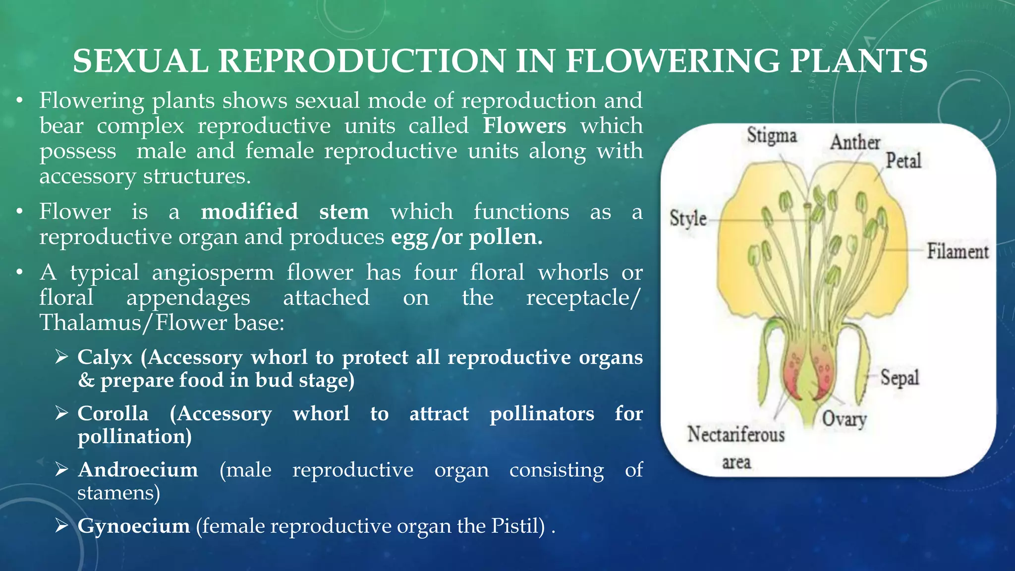 Reproduction in plants- CLASS XII | PPTX