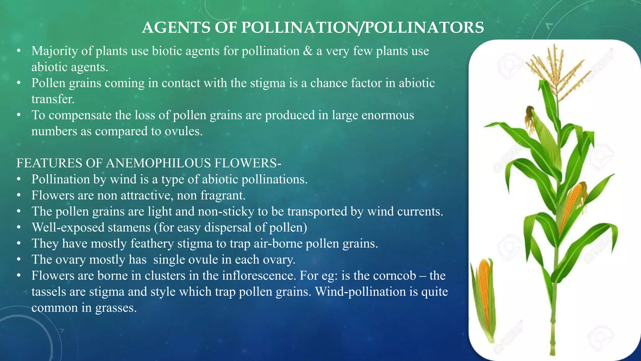 Reproduction in plants- CLASS XII | PPTX