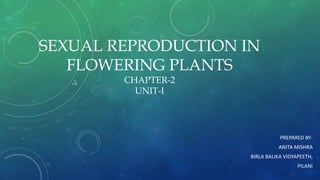 Reproduction in plants- CLASS XII | PPTX