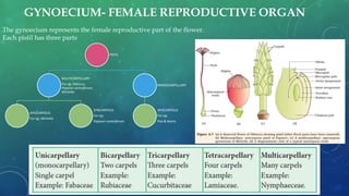 Reproduction in plants- CLASS XII | PPTX