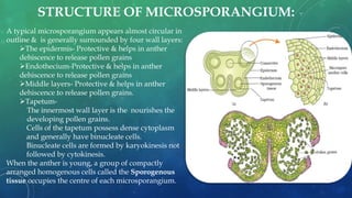 Reproduction in plants- CLASS XII | PPTX