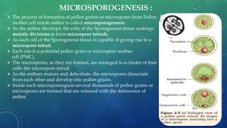 Reproduction in plants- CLASS XII | PPTX