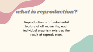 Reproduction in Plants and Animals | PDF