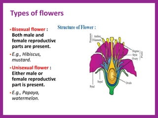 Reproduction in plants(flowering) | PDF