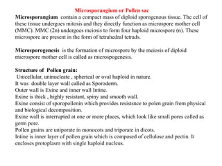 Structure of anther, study of process of Microsporogenesis. | PPT