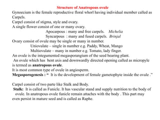 Structure of anther, study of process of Microsporogenesis. | PPTX