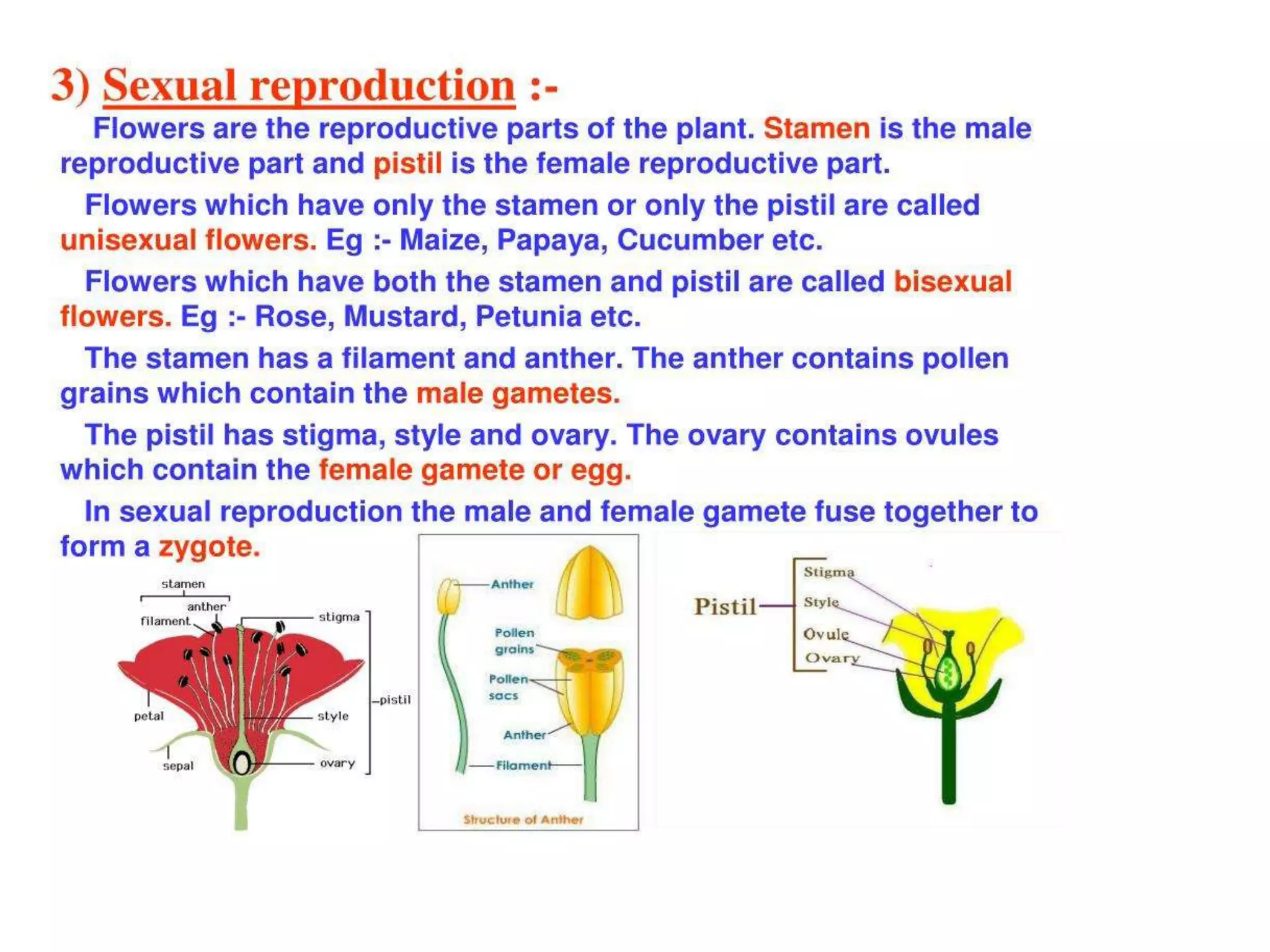 reproduction in plants lecture five.ppt