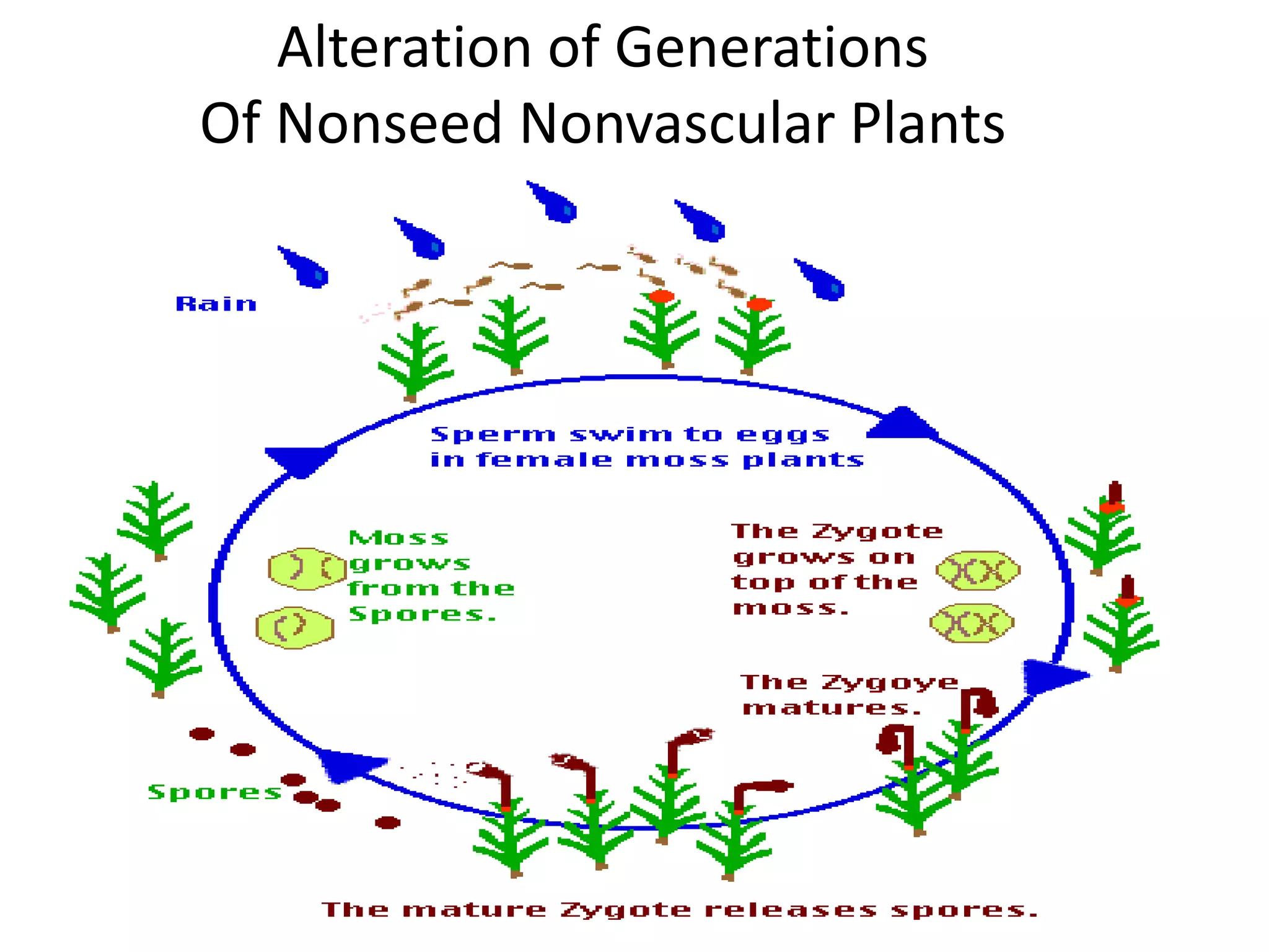 reproduction in plants lecture five.ppt