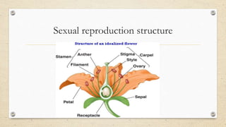 Reproduction in plants | PPTX
