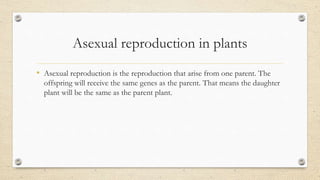 Reproduction in plants | PPT