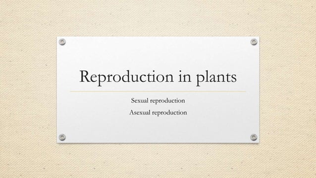 Reproduction in plants | PPT