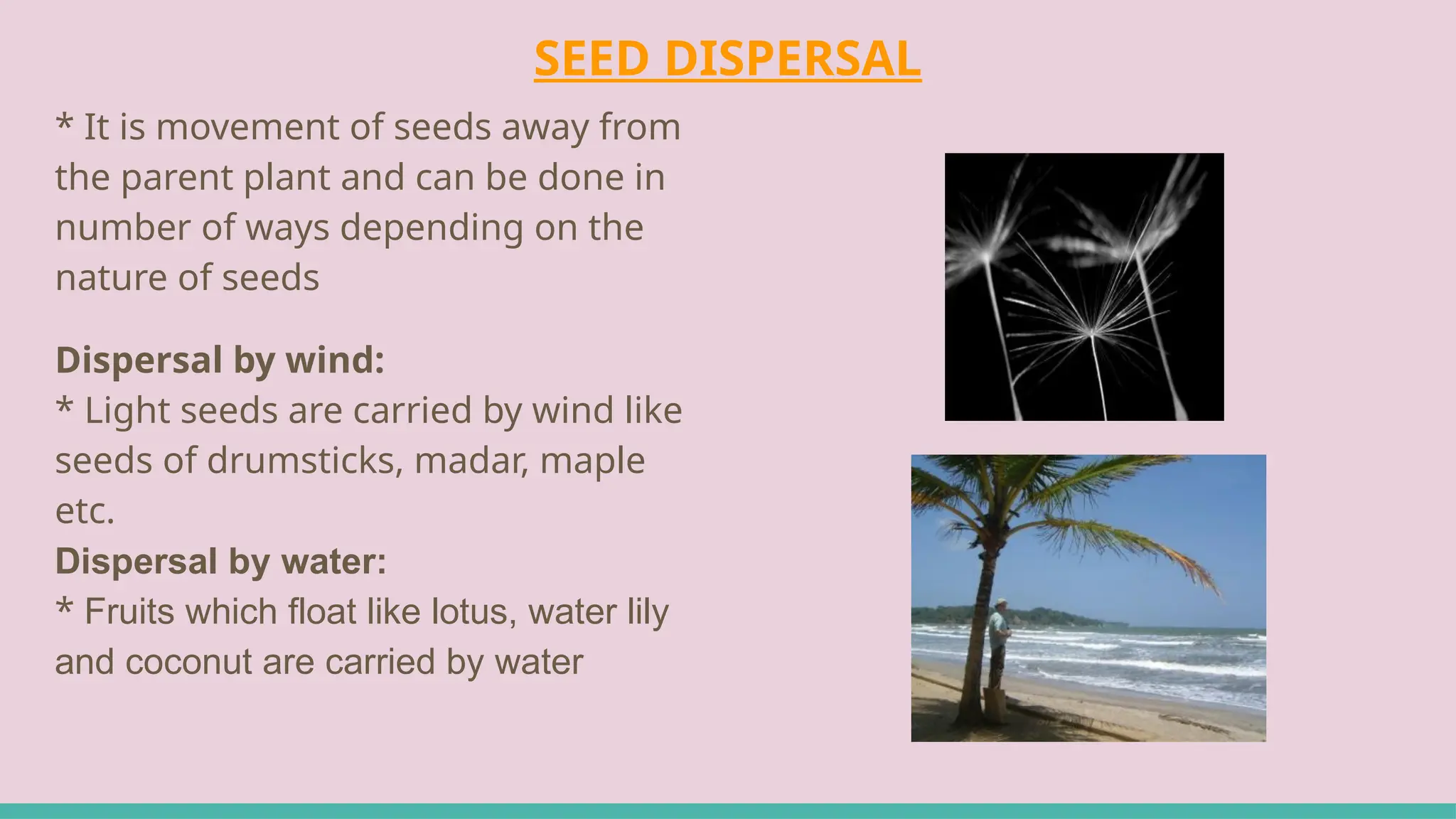 REPRODUCTION IN PLANTS ppt. class 7.pptx